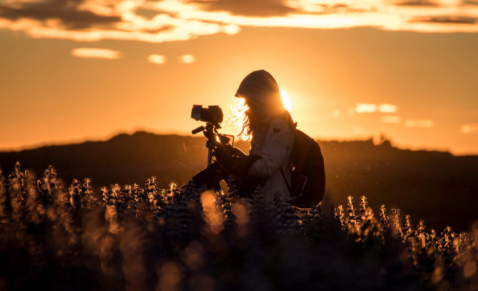 Using Sunlight In Photography: The Ultimate Guide To Perfect Light ...